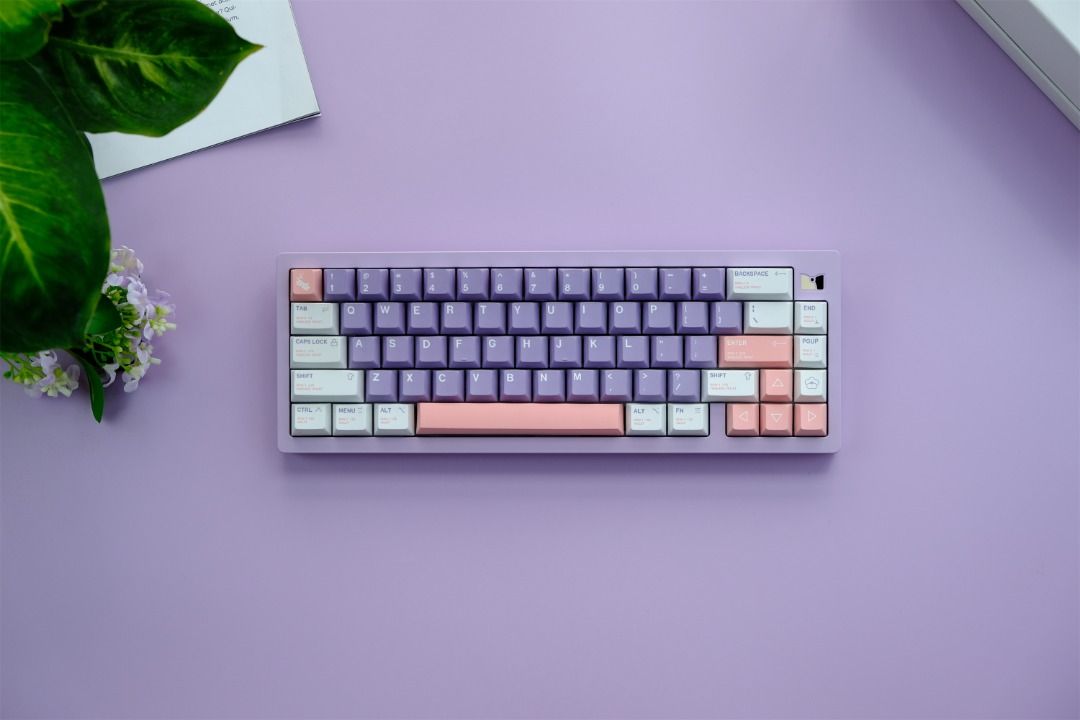 [SG Local Stock] Timeless Violet Keycaps | Cherry Profile | PBT Dye-Sub ...
