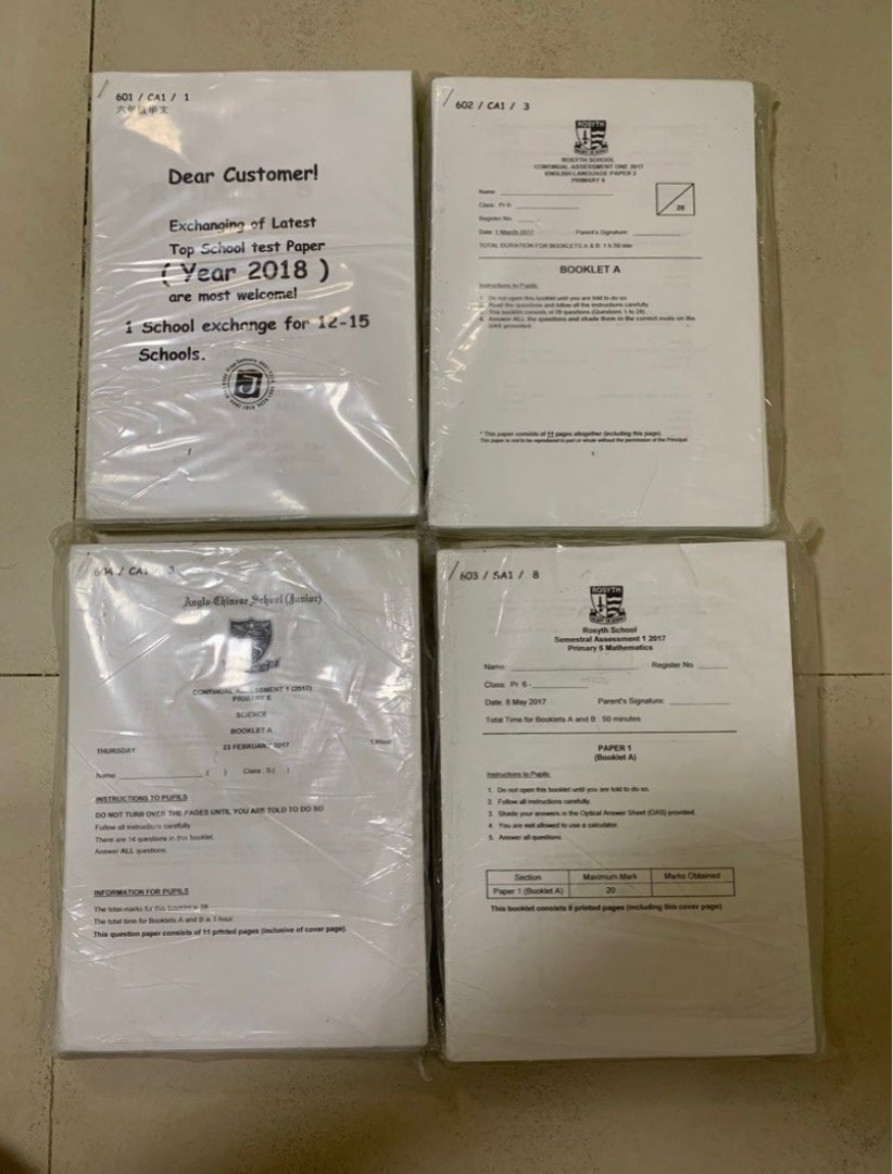 2018 P6 Past Year Exam Paper, Hobbies & Toys, Books & Magazines ...