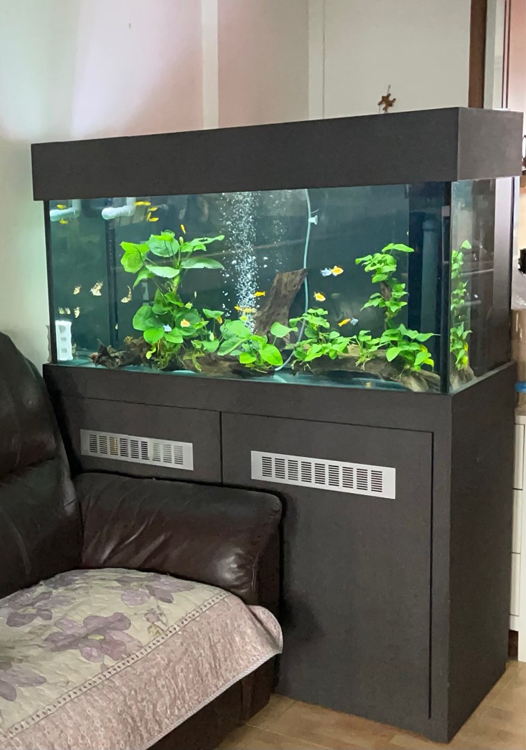 4ft Cabinet Fish tank (Sump Tank), Pet Supplies, Homes & Other Pet ...