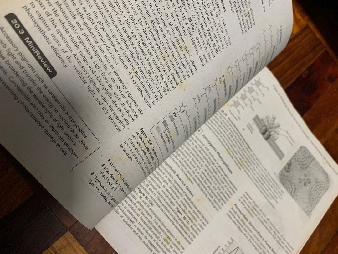 Brock Biology of Microorganisms 12th ed, Hobbies & Toys, Books ...