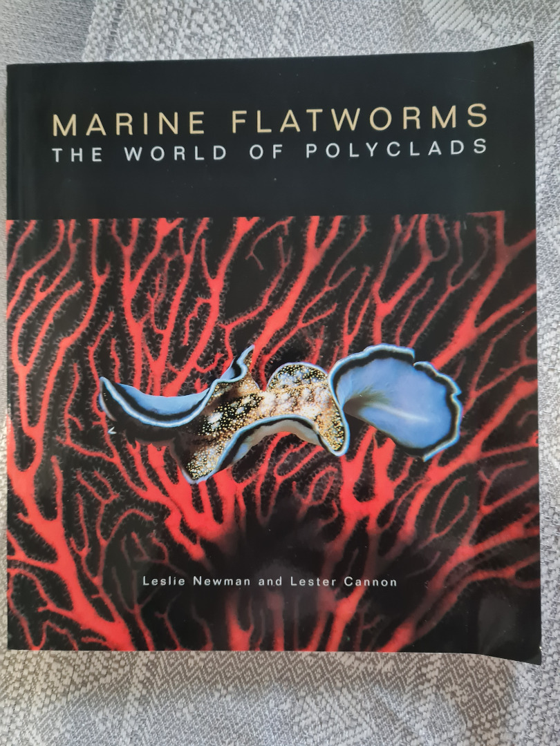 Diving : Marine Flatworms, Sports Equipment, Sports & Games, Water ...