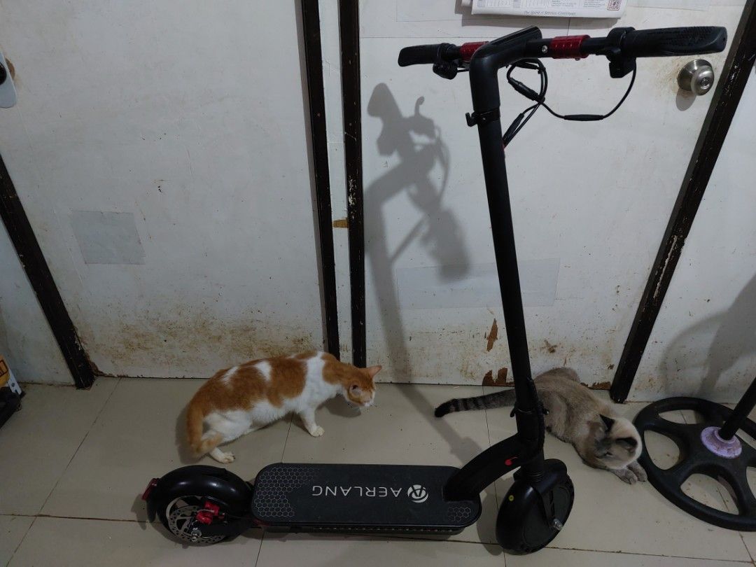 Ekstreme Electric Scooter Aerlang 8 Plus!, Sports Equipment, Sports ...