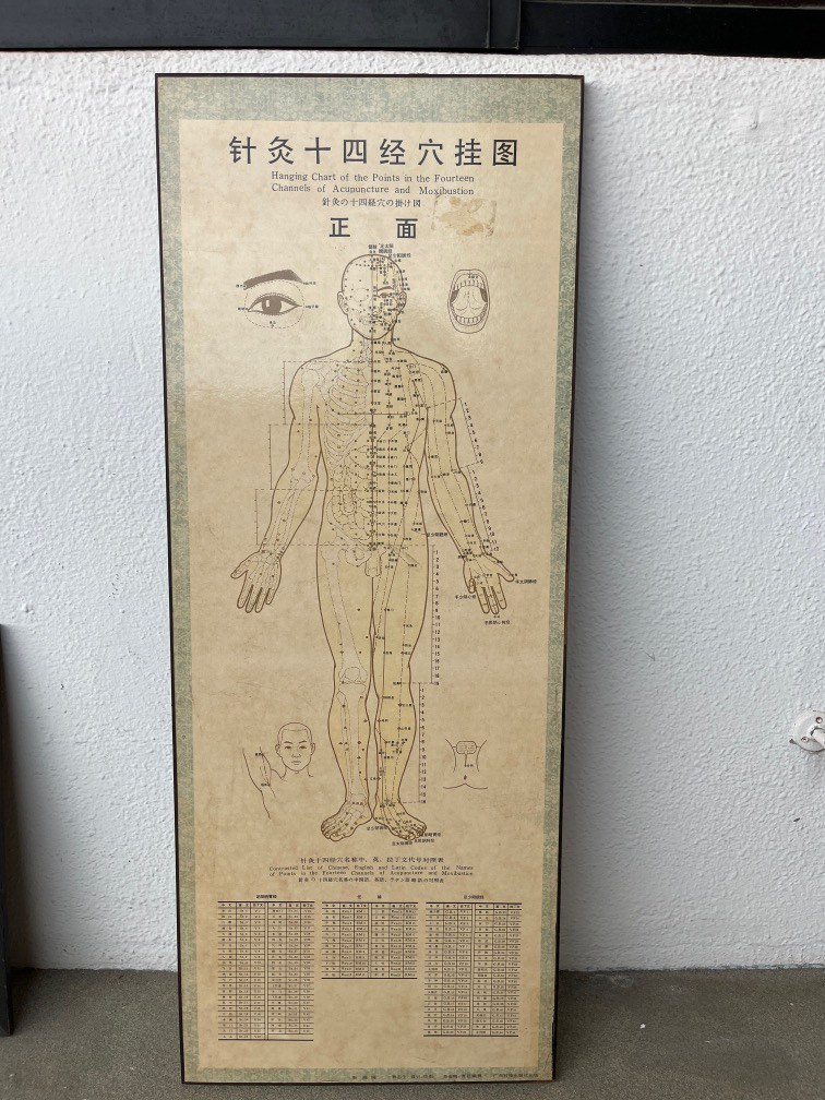 Hanging chart of the points in the fourteen channels of acupuncture and ...