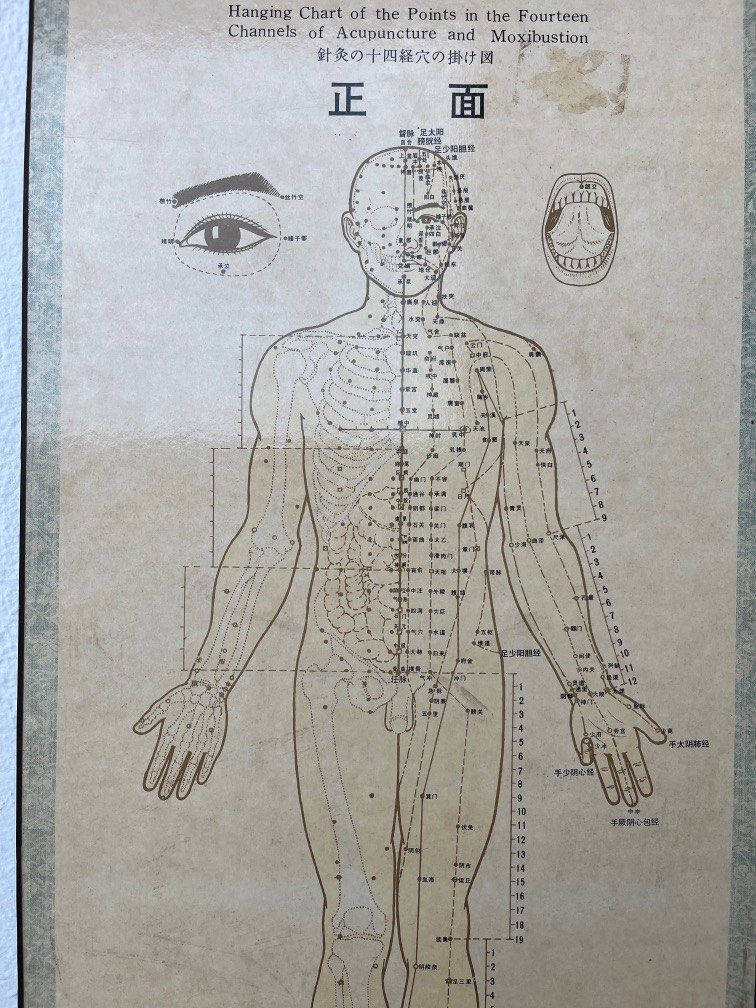 Hanging chart of the points in the fourteen channels of acupuncture and ...
