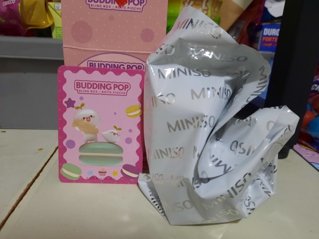 Miniso Budding pop, Hobbies & Toys, Toys & Games on Carousell