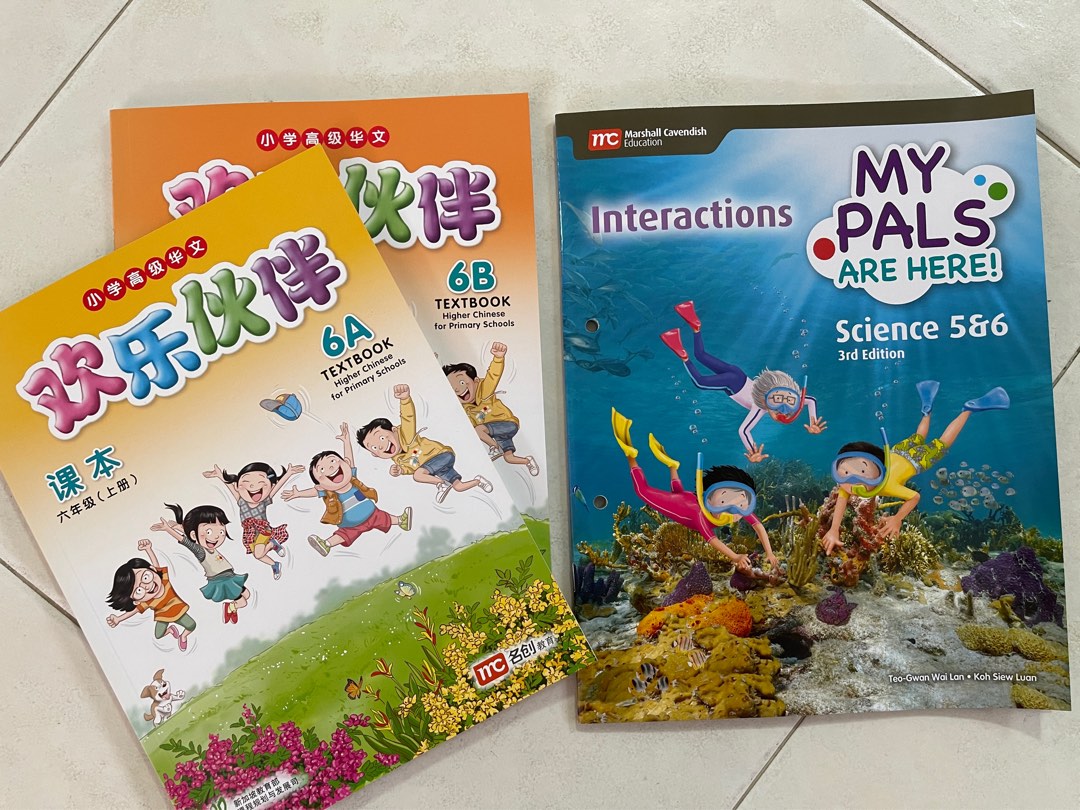 Primary 6 Higher Chinese and Science Textbooks, Hobbies & Toys, Books ...