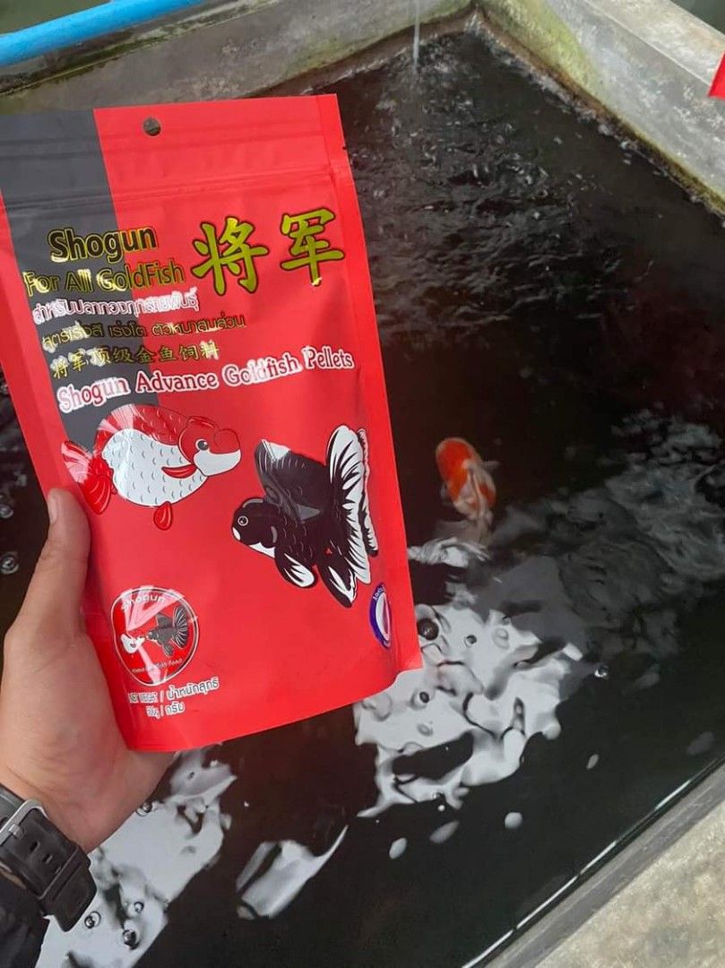 SHOGUN Advanced Goldfish Pellets, Pet Supplies, Pet Food on Carousell