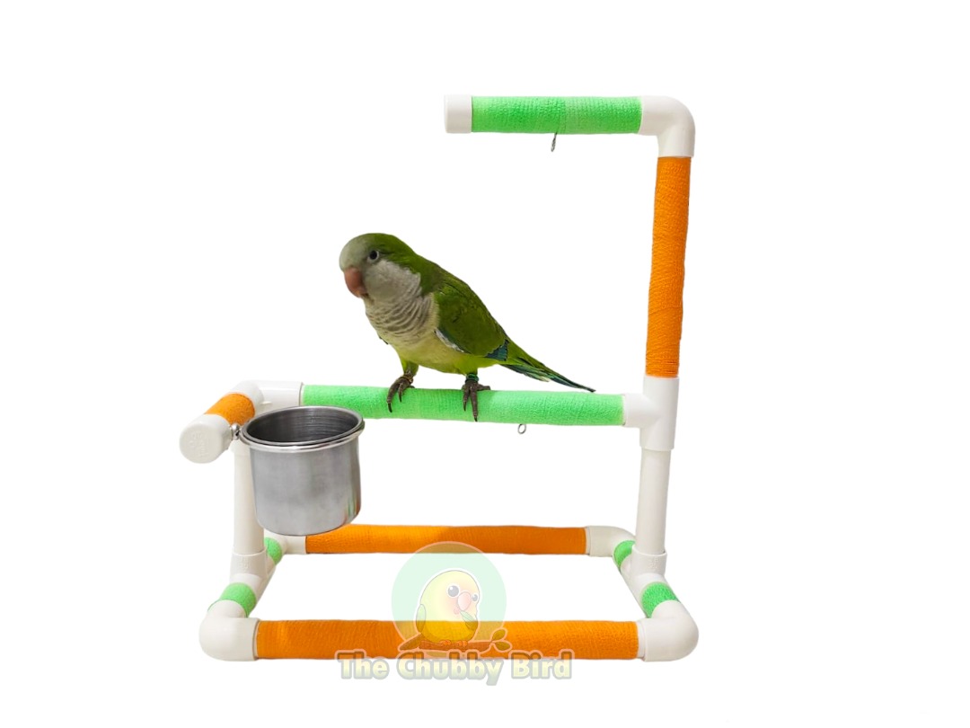 The Ez and Light Mini- A lightweight portable perch for small to medium ...