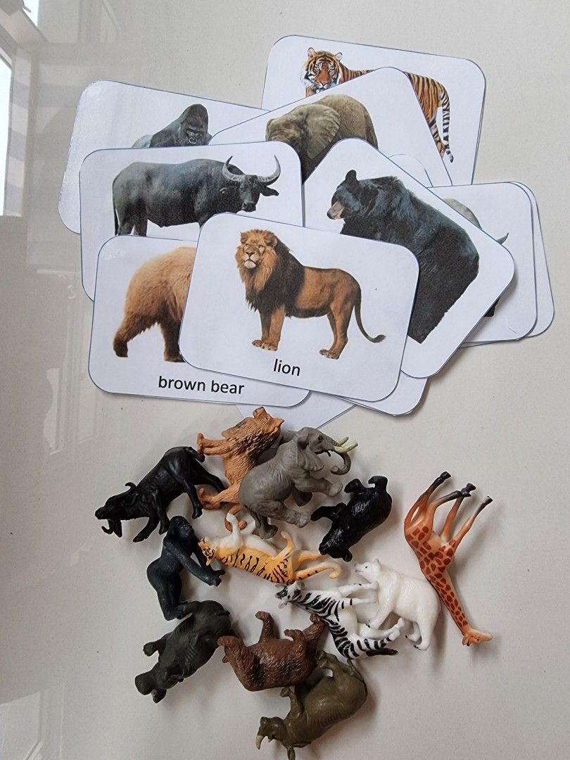 Animal figurines with flashcard for kids, Hobbies & Toys, Toys & Games ...