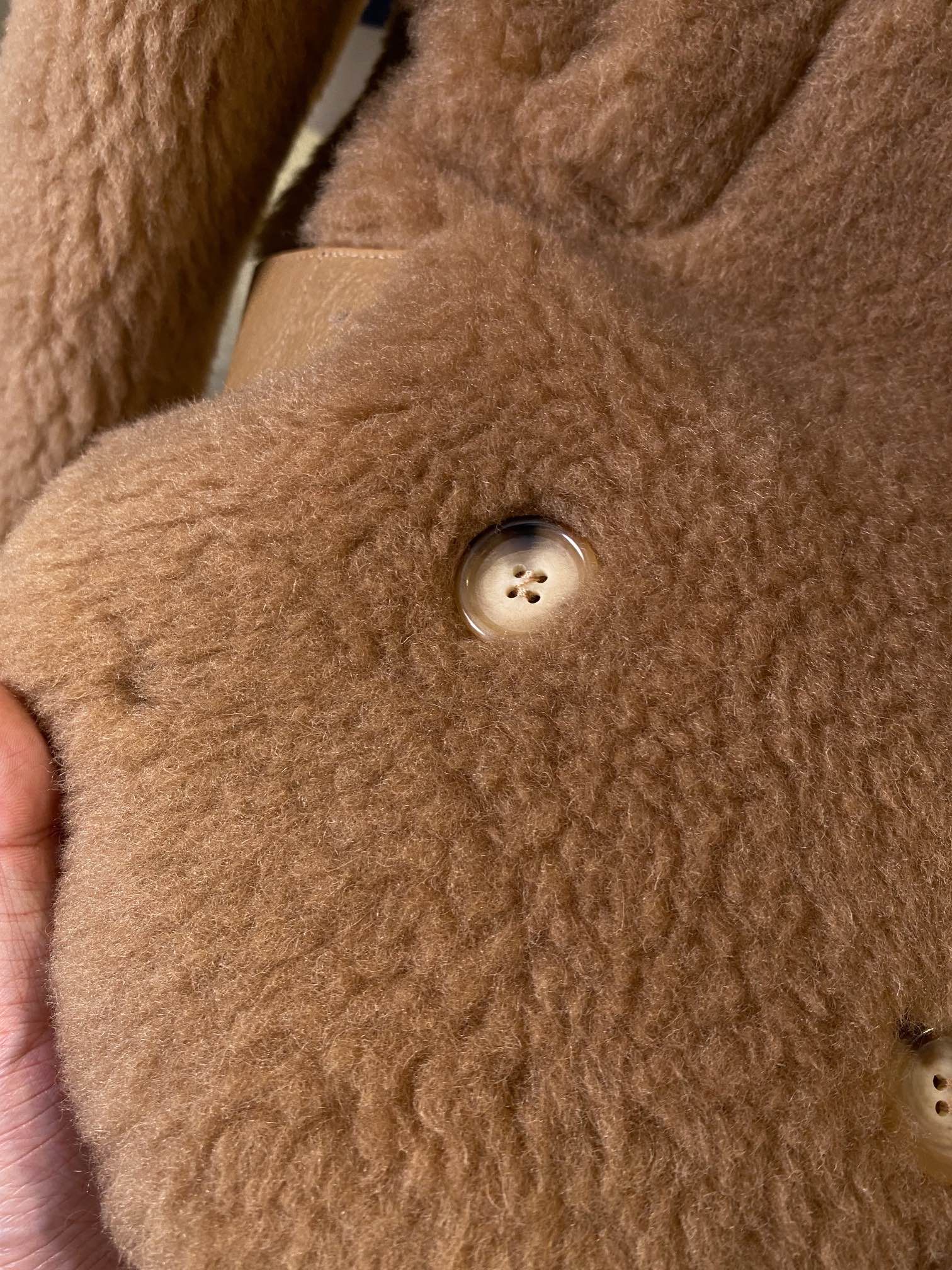 Authentic Maxmara teddy Short Teddy Bear Special Edition, Women's ...