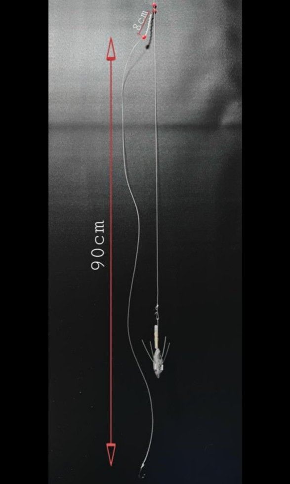 Basic Dropper Pulley Fishing Rig, Sports Equipment, Fishing on Carousell