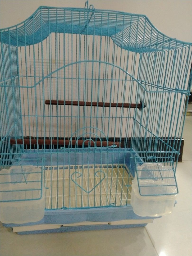 Blue bird cage, Pet Supplies, Homes & Other Pet Accessories on Carousell