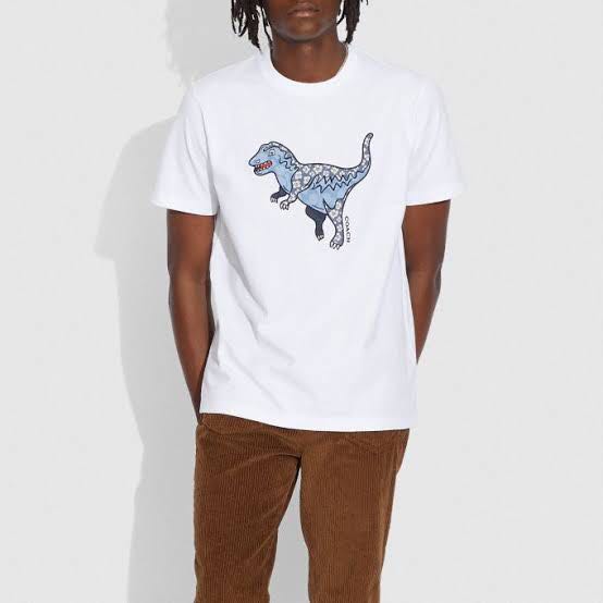 COACH SIGNATURE REXY Tshirt, Men's Fashion, Tops & Sets, Tshirts & Polo ...