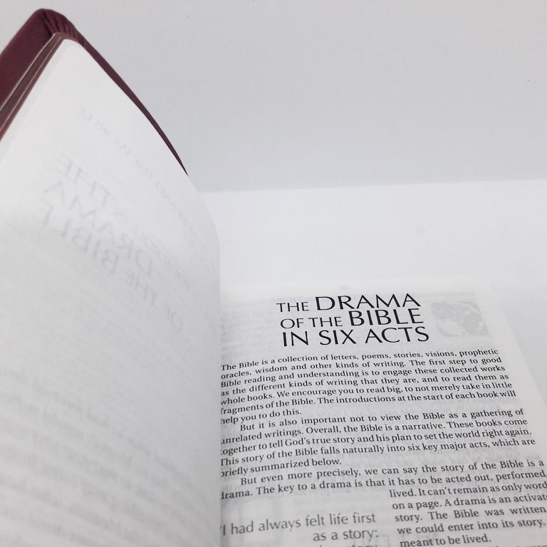 Compact NIV Bible & Micro Bible Keychain bundle, Hobbies & Toys, Books ...