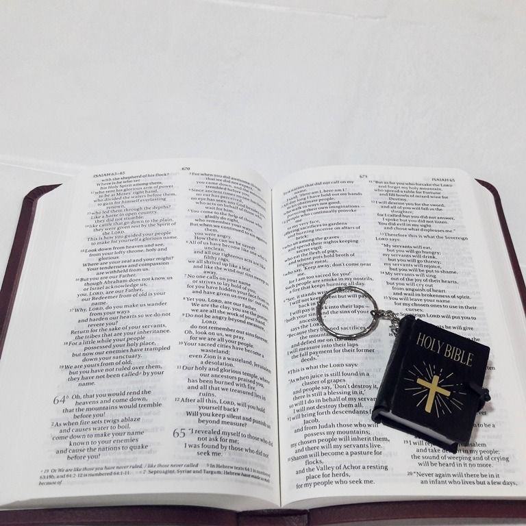 Compact NIV Bible & Micro Bible Keychain bundle, Hobbies & Toys, Books ...