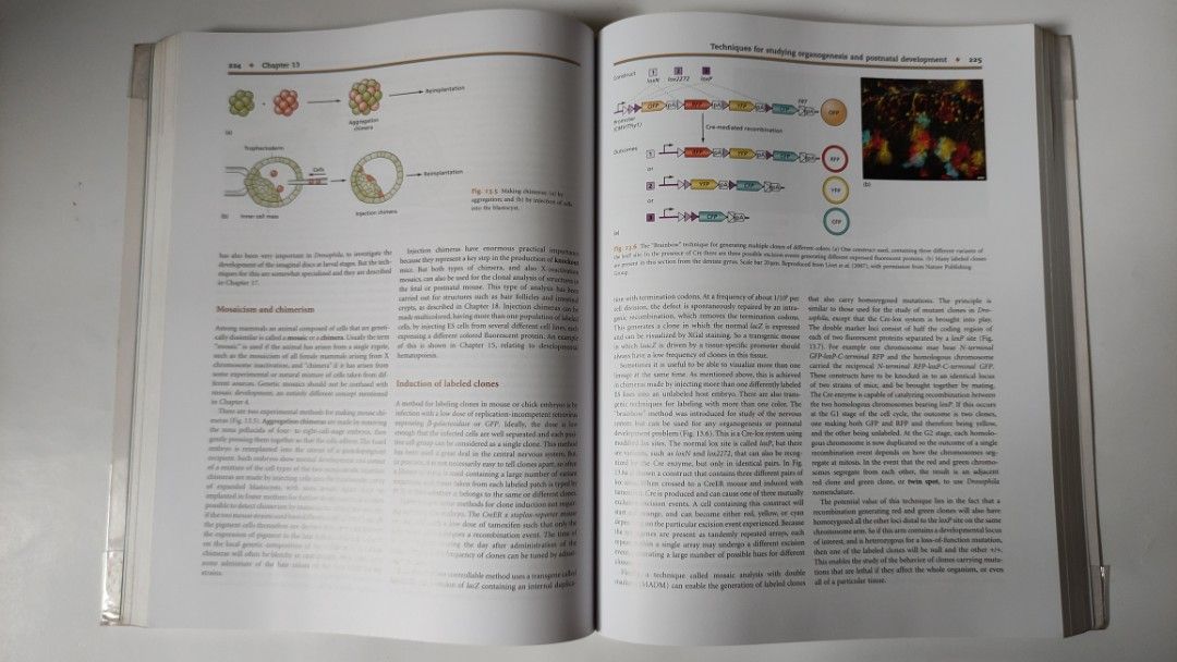 Essential Developmental Biology (3rd ed), Hobbies & Toys, Books ...