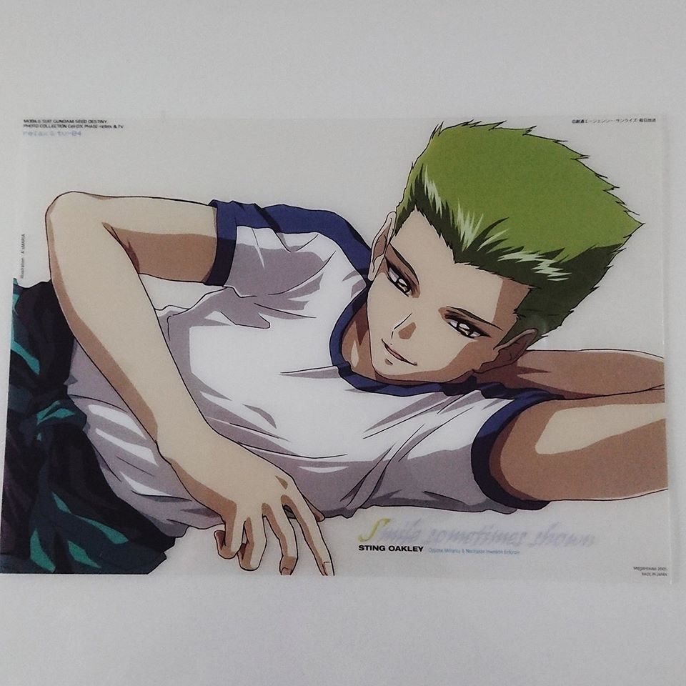 Mobile Suit Gundam SEED DESTINY Photo Collection Cell DX~ PHASE-relax ...