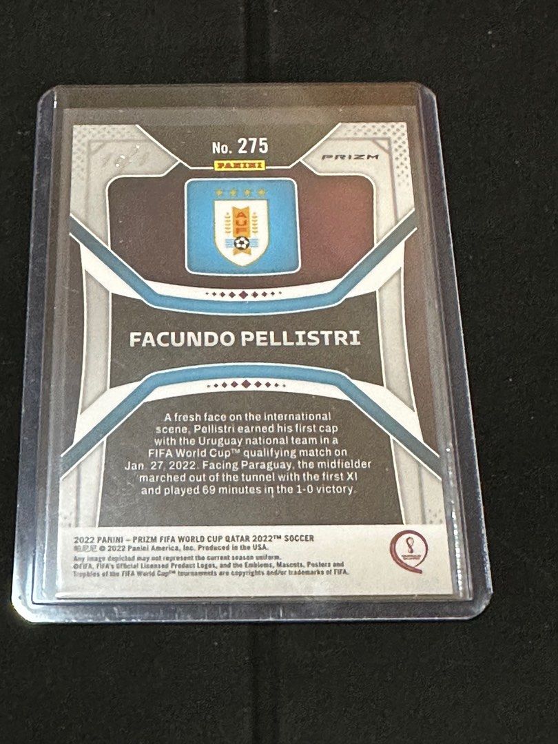 Panini World Cup Prizm Choice Facundo Pellestri Nebula 1/1, Hobbies ...