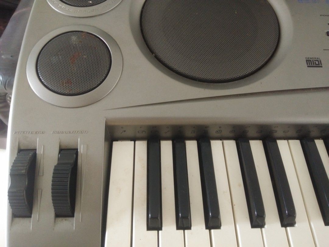 Professional CASIO WK-1800 Keyboard, Hobbies & Toys, Music & Media ...