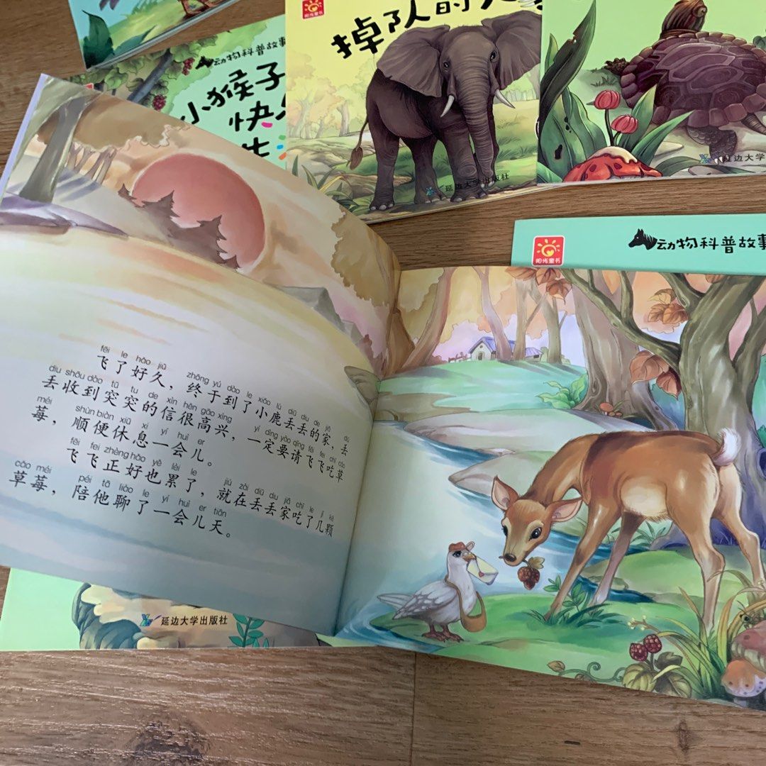 Set of 10 Chinese storybooks - animal series picture books with hanyu ...