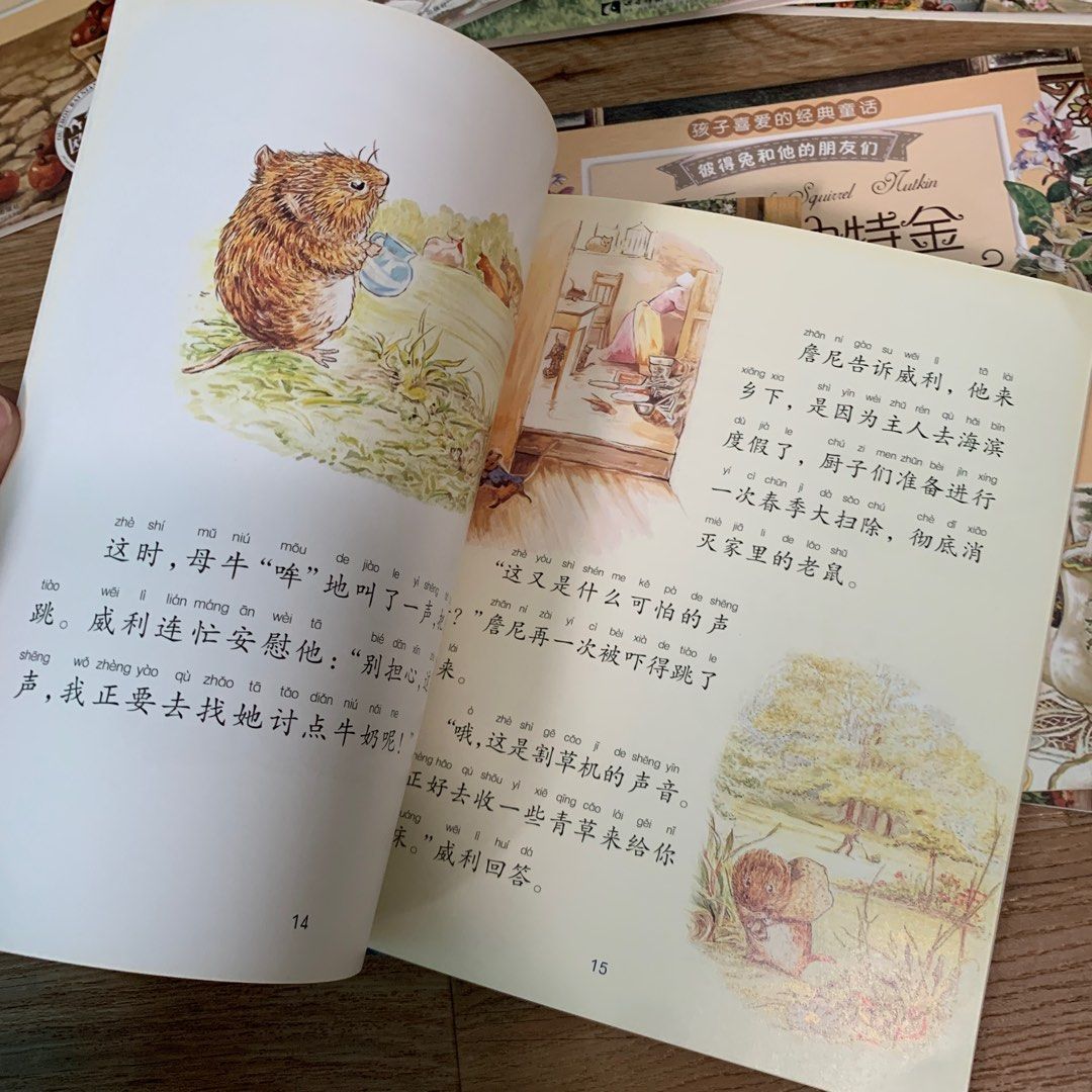 Set of 7 Chinese storybooks picture books with hanyu pinyin, Hobbies ...