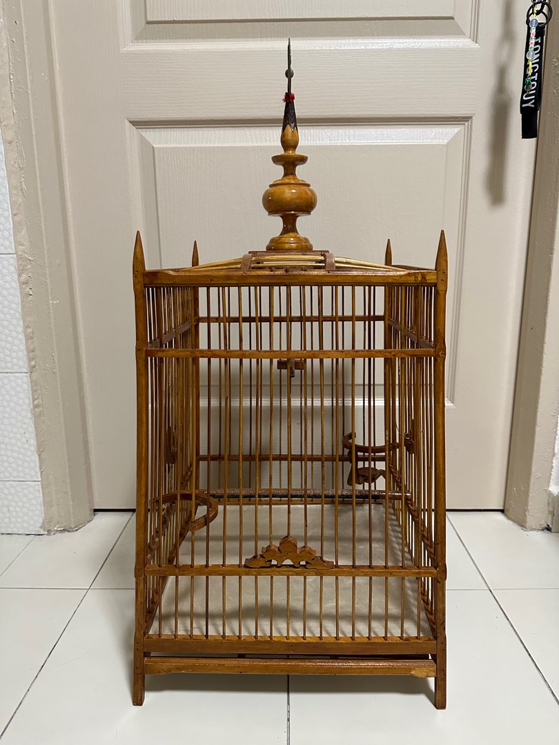 Square Jambul cage, Pet Supplies, Homes & Other Pet Accessories on Carousell
