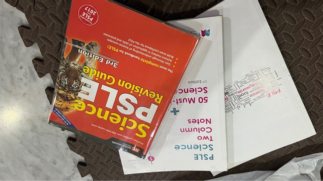 The learning lab (tll) p6 2022 notes and worksheets. Selling as a ...