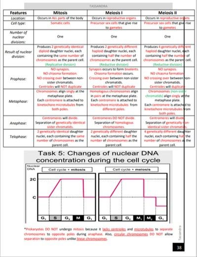 A Level H2 Biology Comprehensive Notes (Part 1), Everything Else on ...