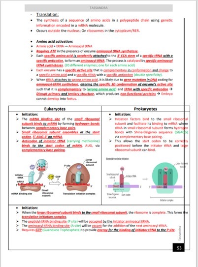 A Level H2 Biology Comprehensive Notes (Part 1), Everything Else on ...