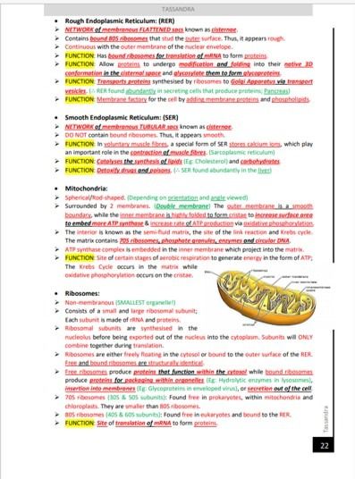 A Level H2 Biology Comprehensive Notes (Part 1), Everything Else on ...
