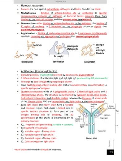 A Level H2 Biology Comprehensive Notes (Part 2), Everything Else on ...