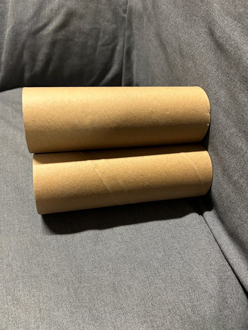 Cardboard Paper Roll Tube, Hobbies & Toys, Stationery & Craft, Craft ...