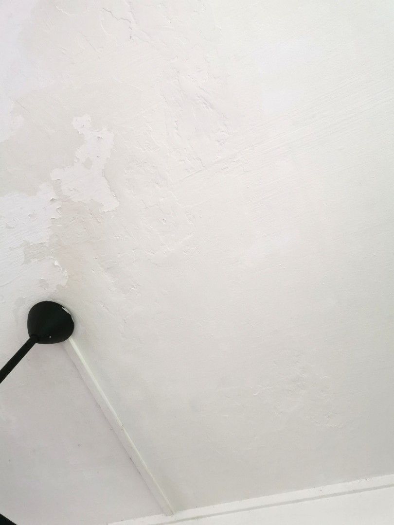 Ceiling Spalling repair, Spalling Concrete DIY, Everything Else on ...