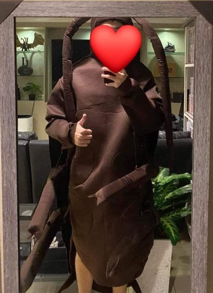 Cockroach Costume for Adult, Men's Fashion, Coats, Jackets and ...