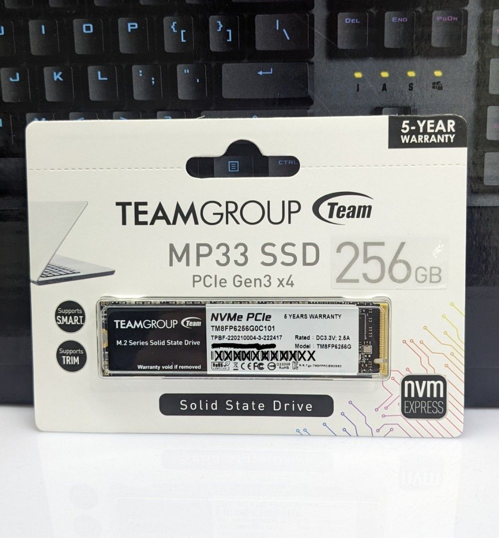 TEAMGROUP MP33 M.2 PCIe NVMe SSD (256GB), Computers & Tech, Parts ...