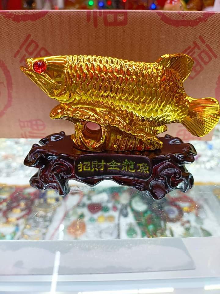 Arowana fish Fengshui display, Furniture & Home Living, Home Decor ...