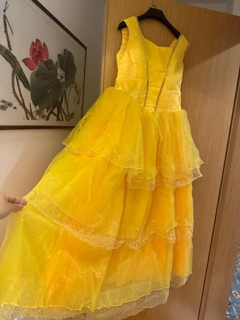 Belle Costume Adult, Beauty and the Beast Belle Dress, Disney Princess ...