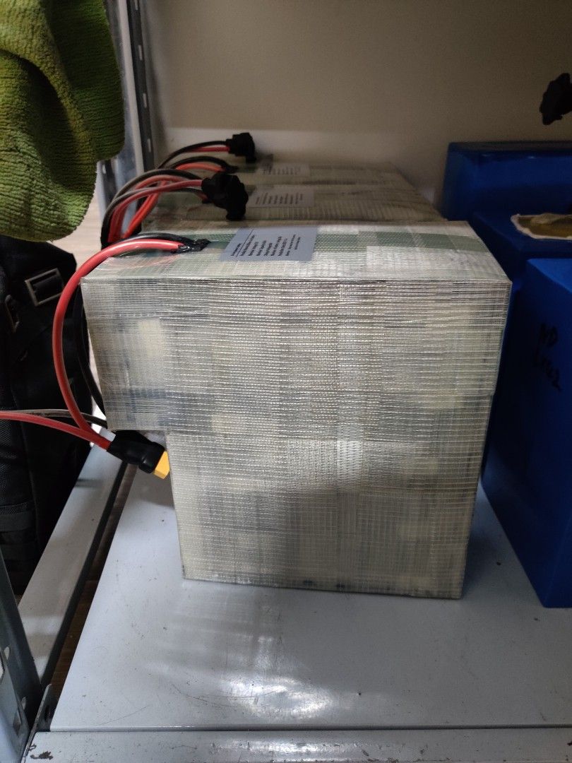 Custom CATL / EVE Prismatic Li-ion Battery Packs For Fiido PMD PMA E ...