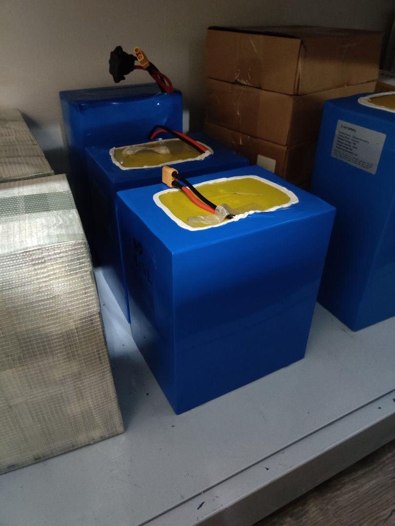 Custom CATL / EVE Prismatic Li-ion Battery Packs For Fiido PMD PMA E ...