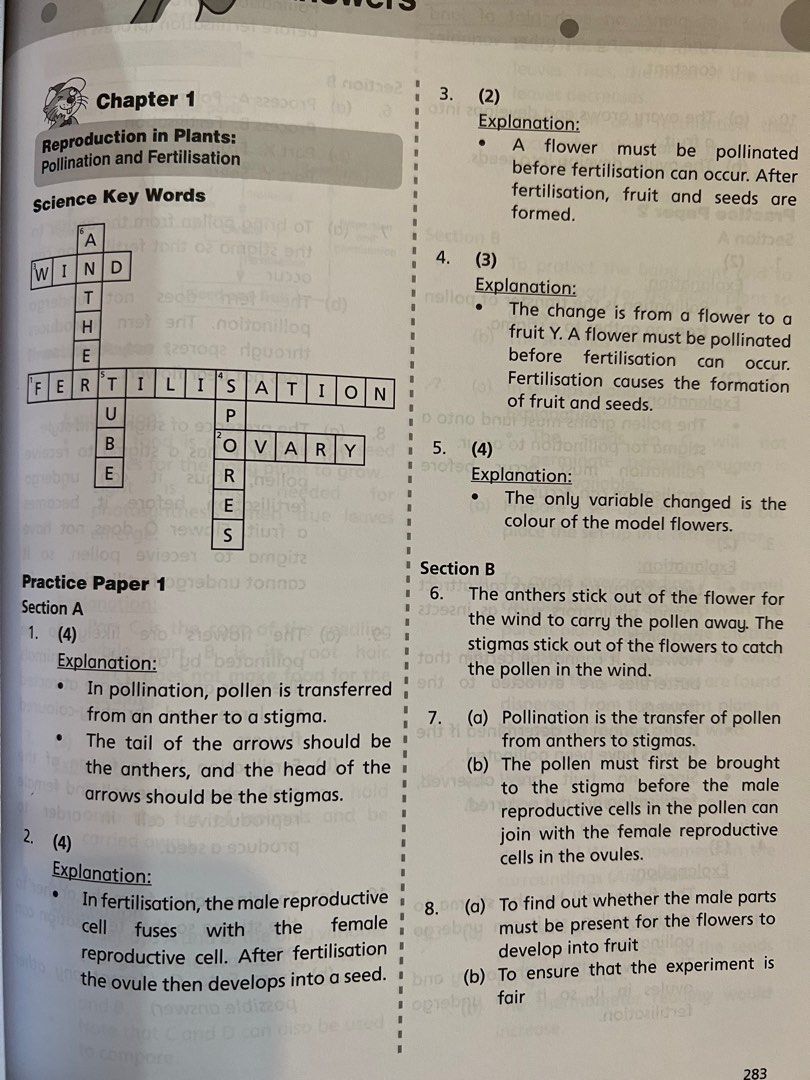 EPH P4 / P5 Must Know Science Process Skills and Key Words Assessment ...