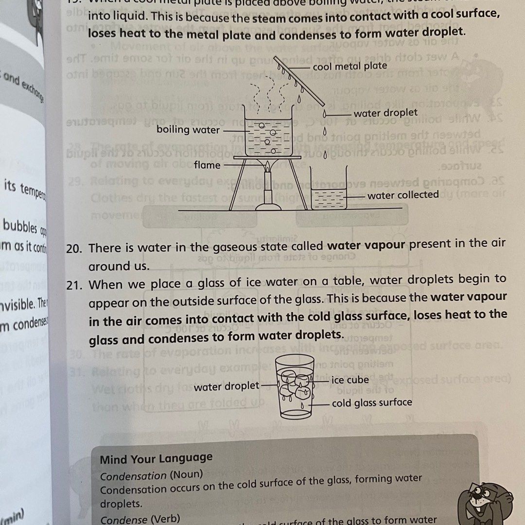 EPH P4 / P5 Must Know Science Process Skills and Key Words Assessment ...