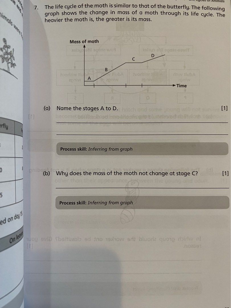 EPH P4 / P5 Must Know Science Process Skills and Key Words Assessment ...