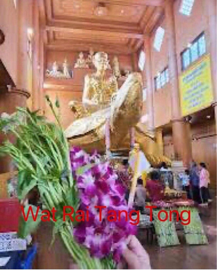 Lp Liew Nang Tao Bucha Wat Rai Tang Tong, Hobbies & Toys, Memorabilia ...