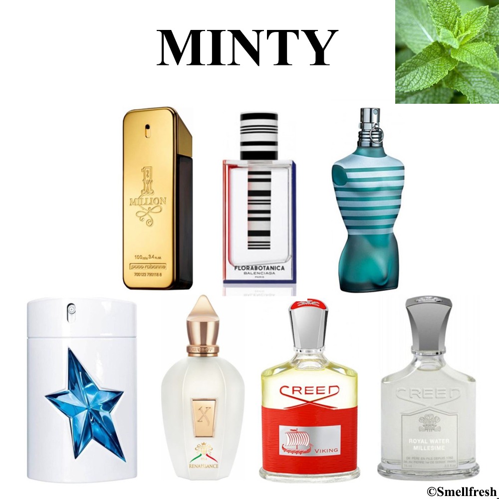 Mint Perfume Decants : One Million / Florabotanica / Le Male / Pure ...
