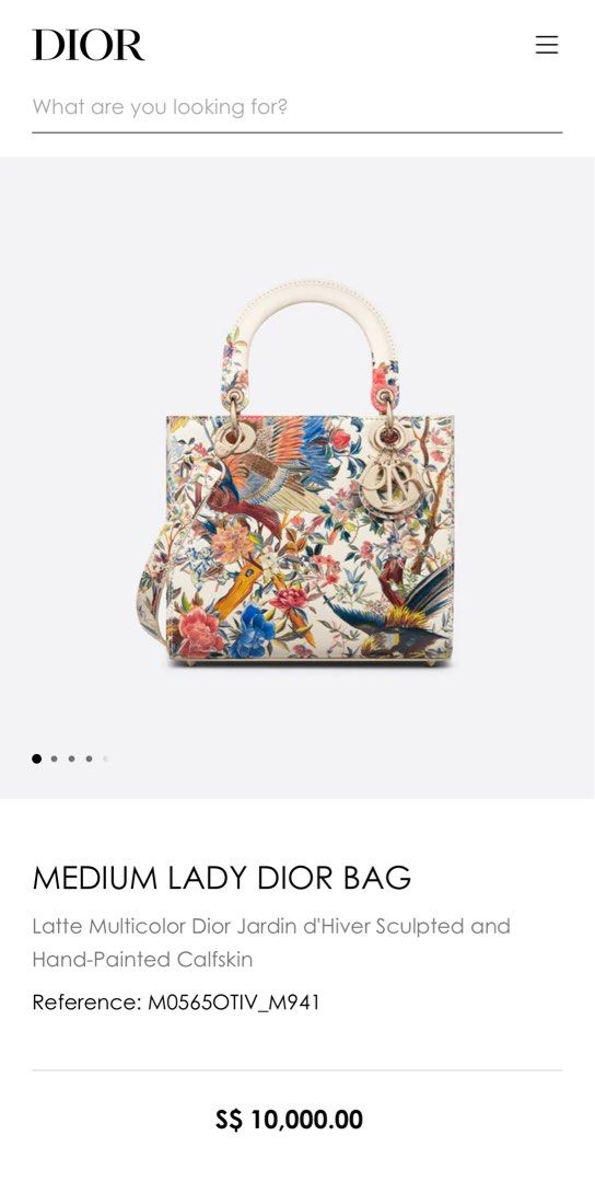 Lady Dior Medium HANDPAINTED Bag - LIMITED EDITION, Women's Fashion ...