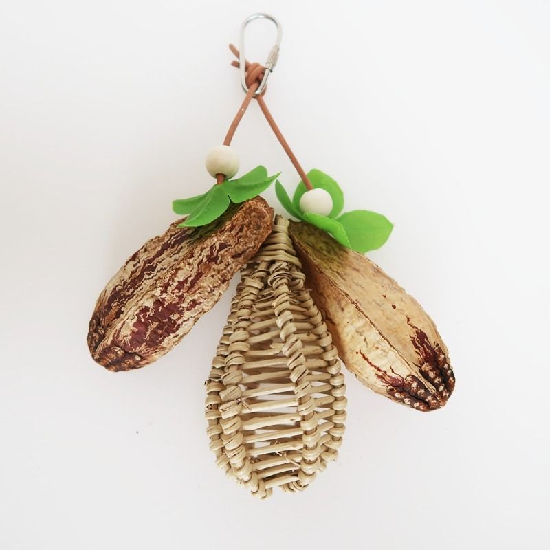 Parrot Bird Fruit Biting | Strings Dried Fruit Rattan | Leather Rope ...
