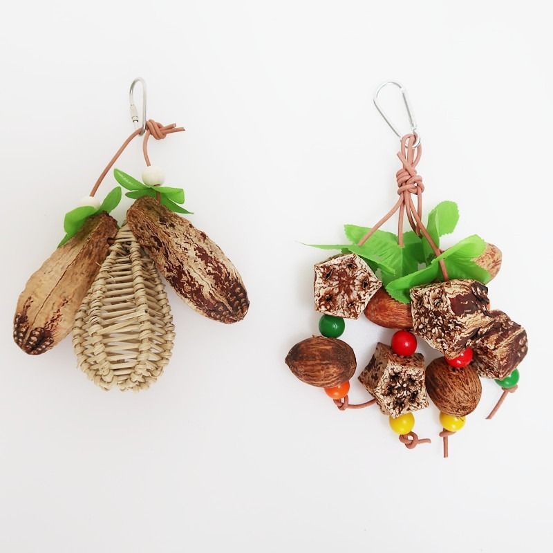 Parrot Bird Fruit Biting | Strings Dried Fruit Rattan | Leather Rope ...