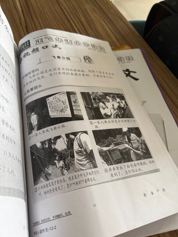 Primary 4 Chinese enrichment notes, oral, compo, Hobbies & Toys, Books ...