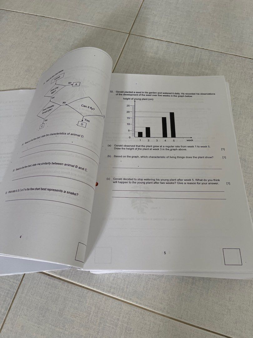 Primary 4 Math, Science, English School Test Papers, Hobbies & Toys ...