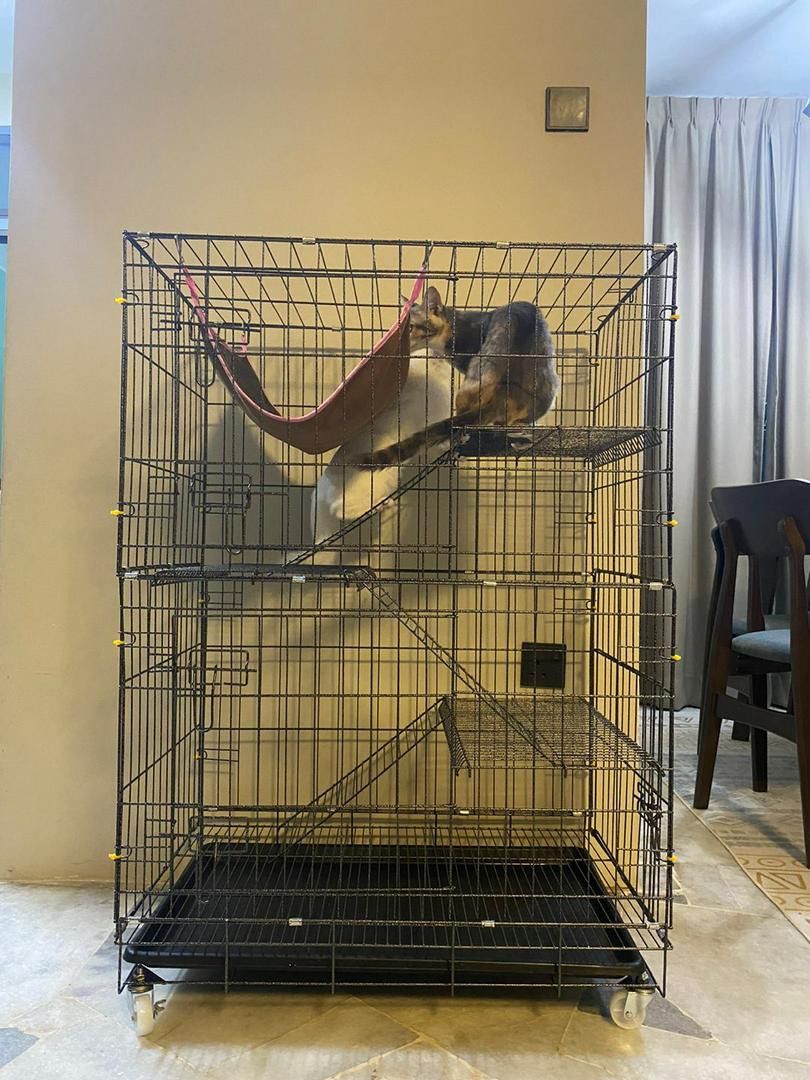 Readystock XXL Cat Cage 3tiers 3 layer Foldable big cage, pet cage ...
